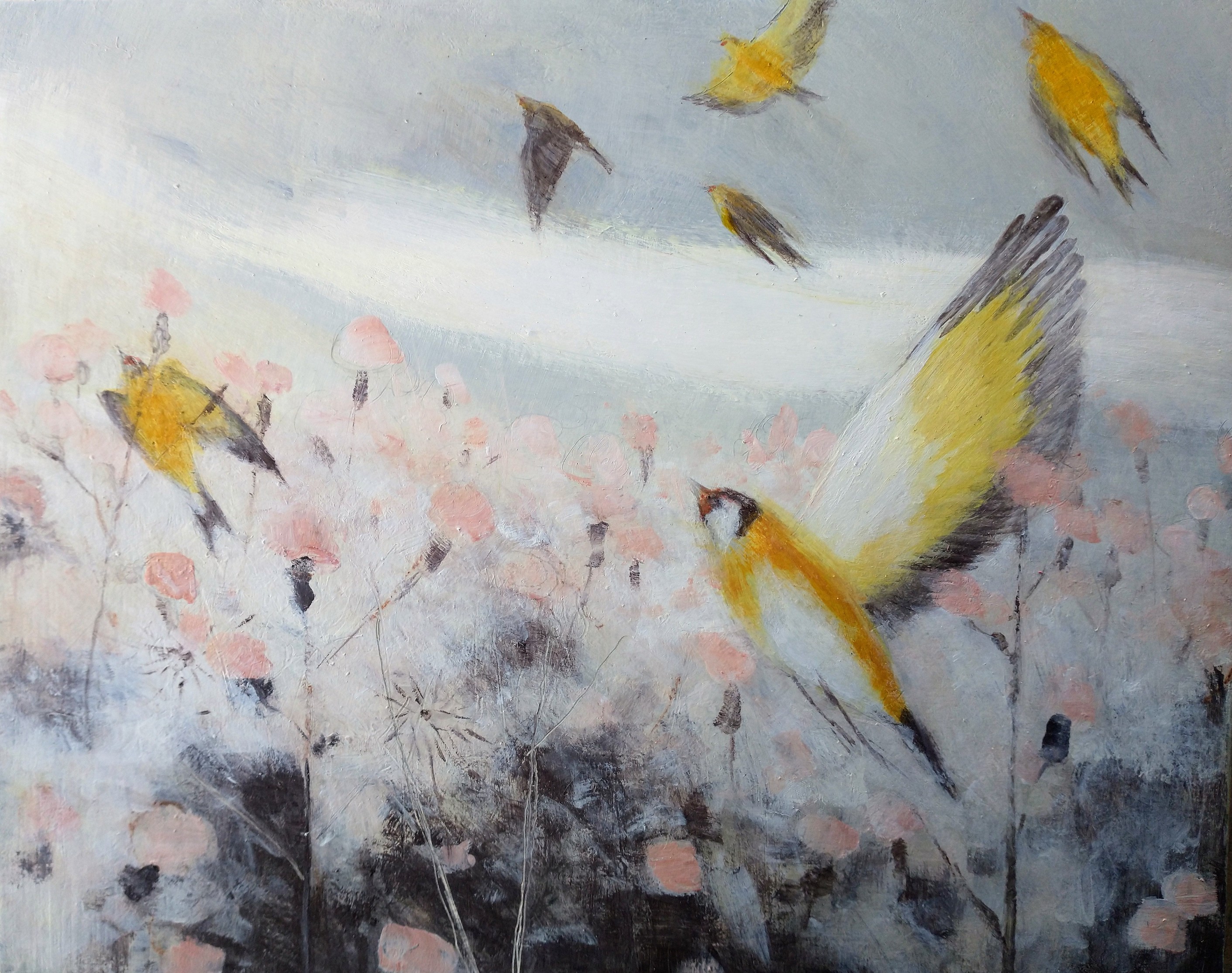 Paintings » Exhibitions » Home